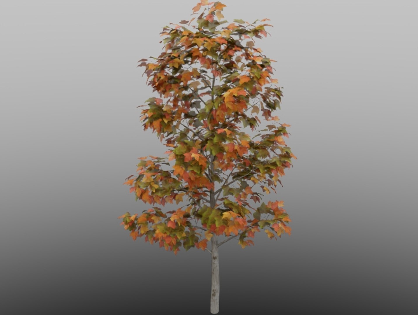 3D Green Plant Model Model - TurboSquid 2379981