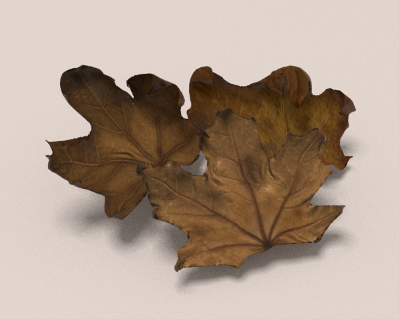 3d autumn leaves drying