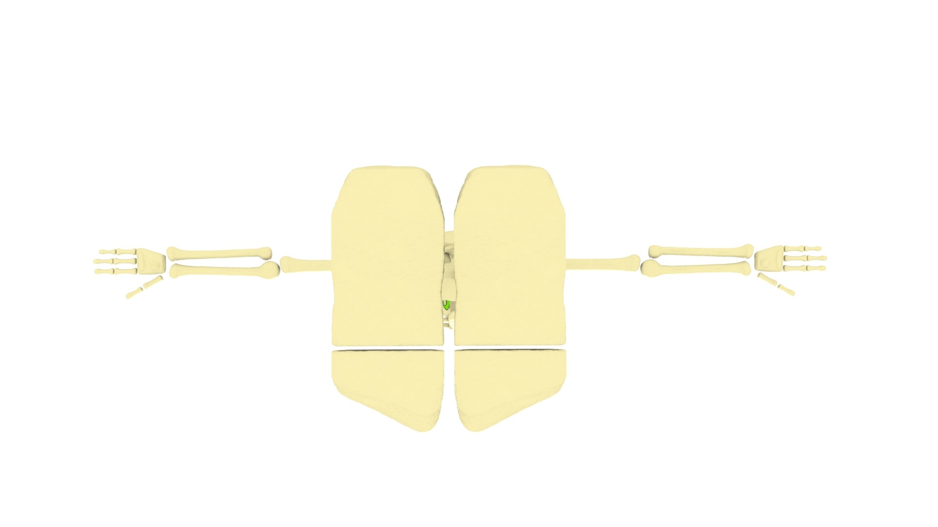 Bones Character Rigged For Maya 3D Model And Animation 3D Model 3D ...