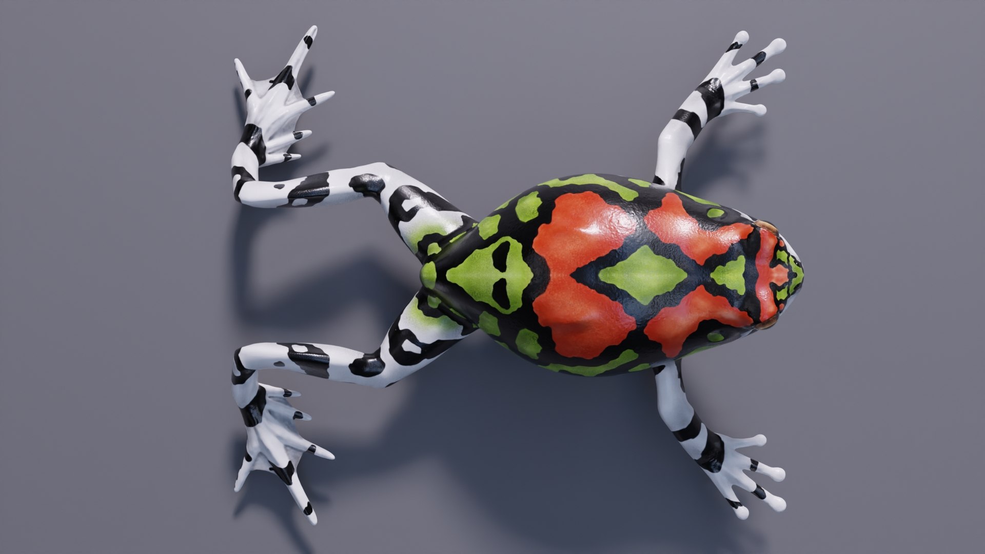 MalagasyRainbowFrogRiggedc4d Model - TurboSquid 2031952