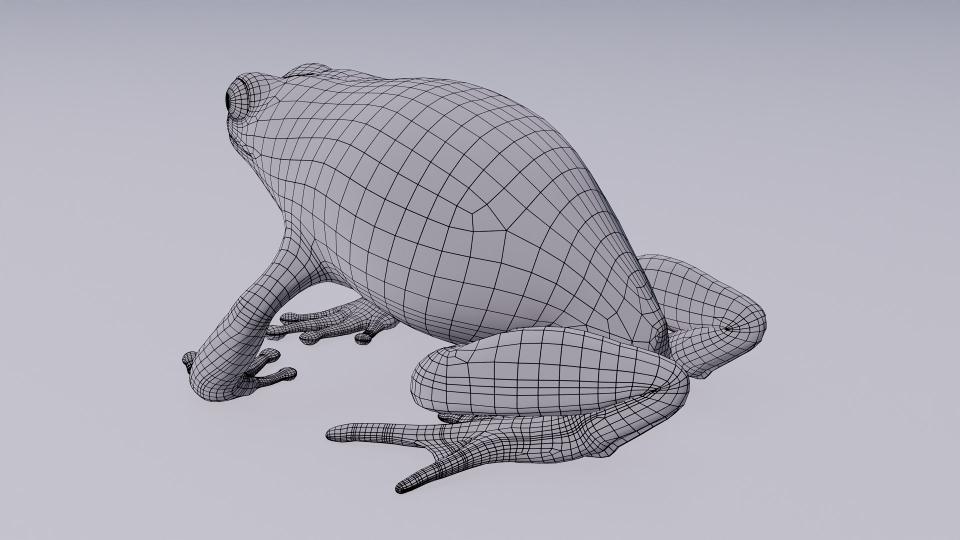 MalagasyRainbowFrogRiggedc4d Model - TurboSquid 2031952