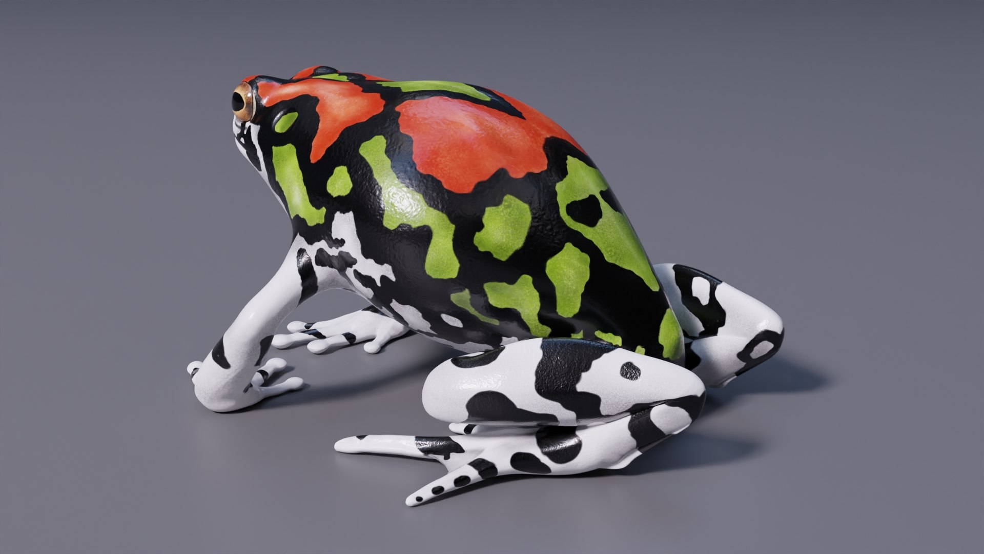 MalagasyRainbowFrogRiggedc4d Model - TurboSquid 2031952