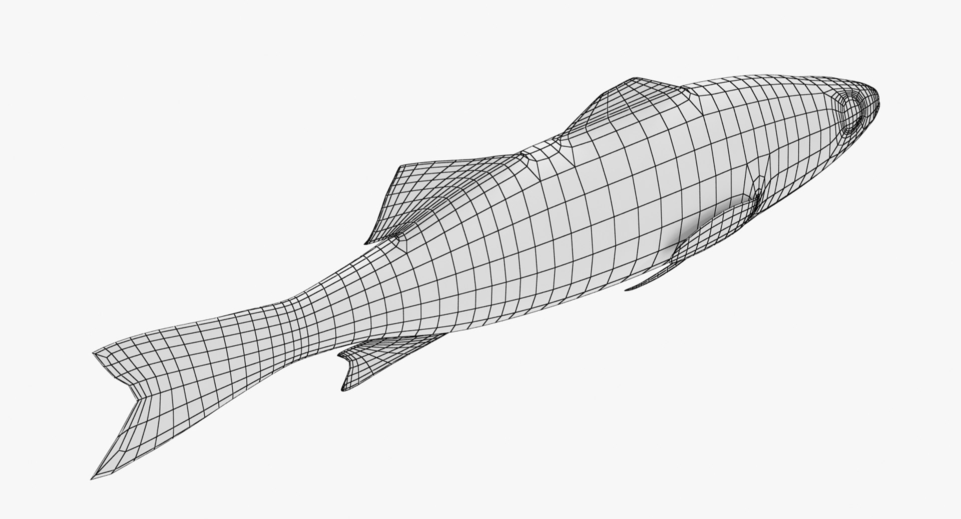 Bass Seabass Sea 3d Model