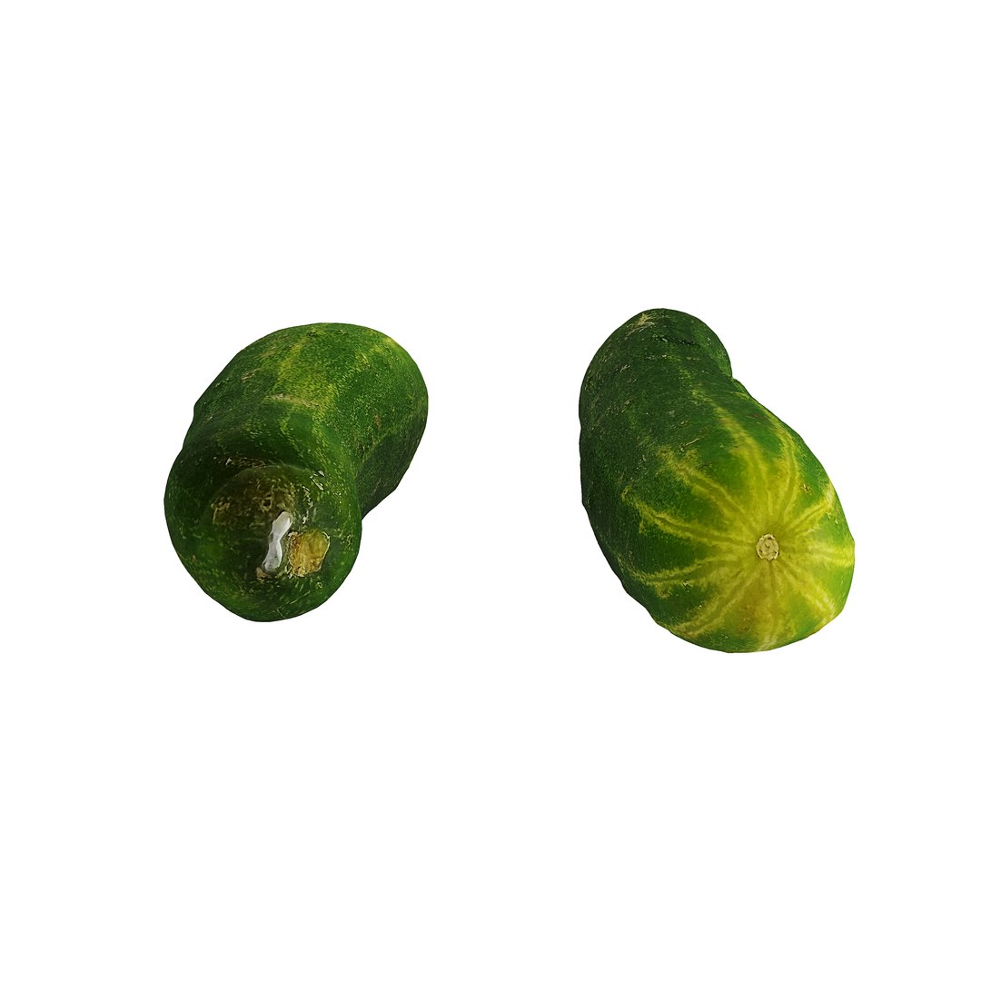 3D Model Cucumber - TurboSquid 2056507