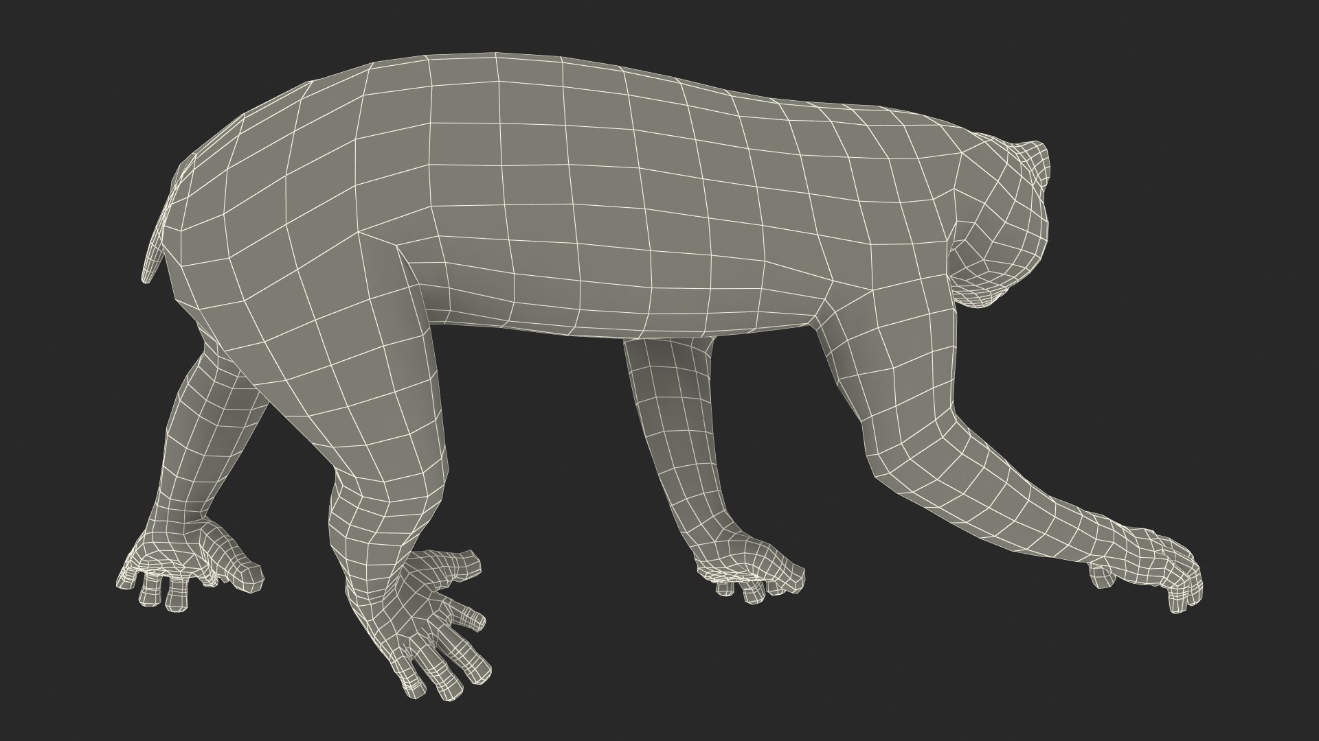 Bangka Slow Loris Fur Model - TurboSquid 2141551