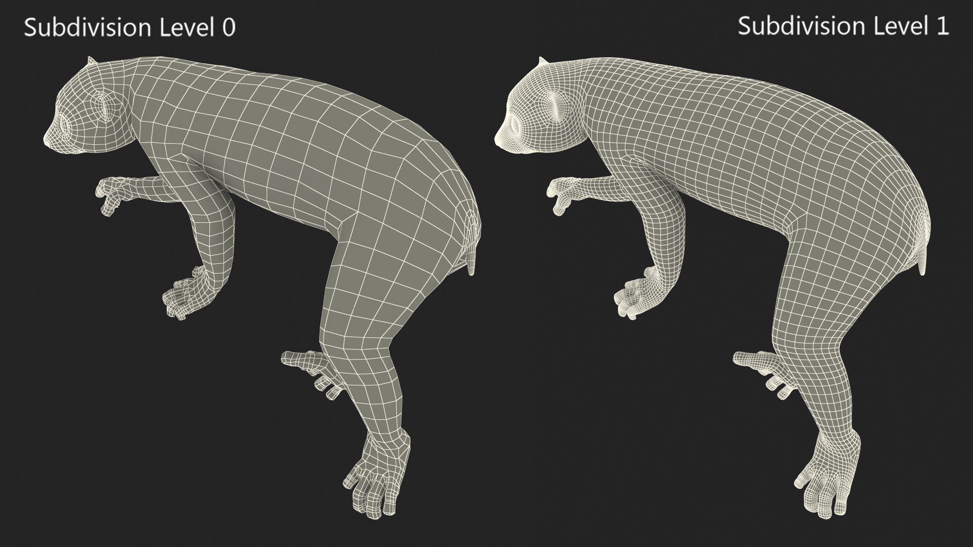 Bangka Slow Loris Fur Model - TurboSquid 2141551
