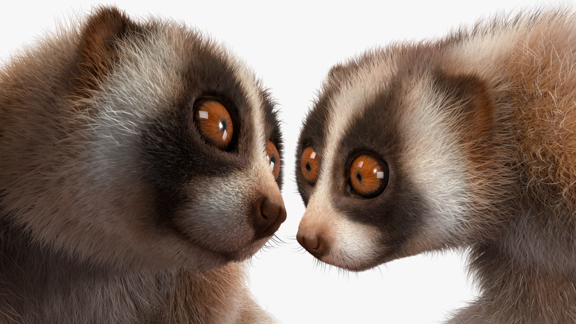 Bangka Slow Loris Fur Model - TurboSquid 2141551