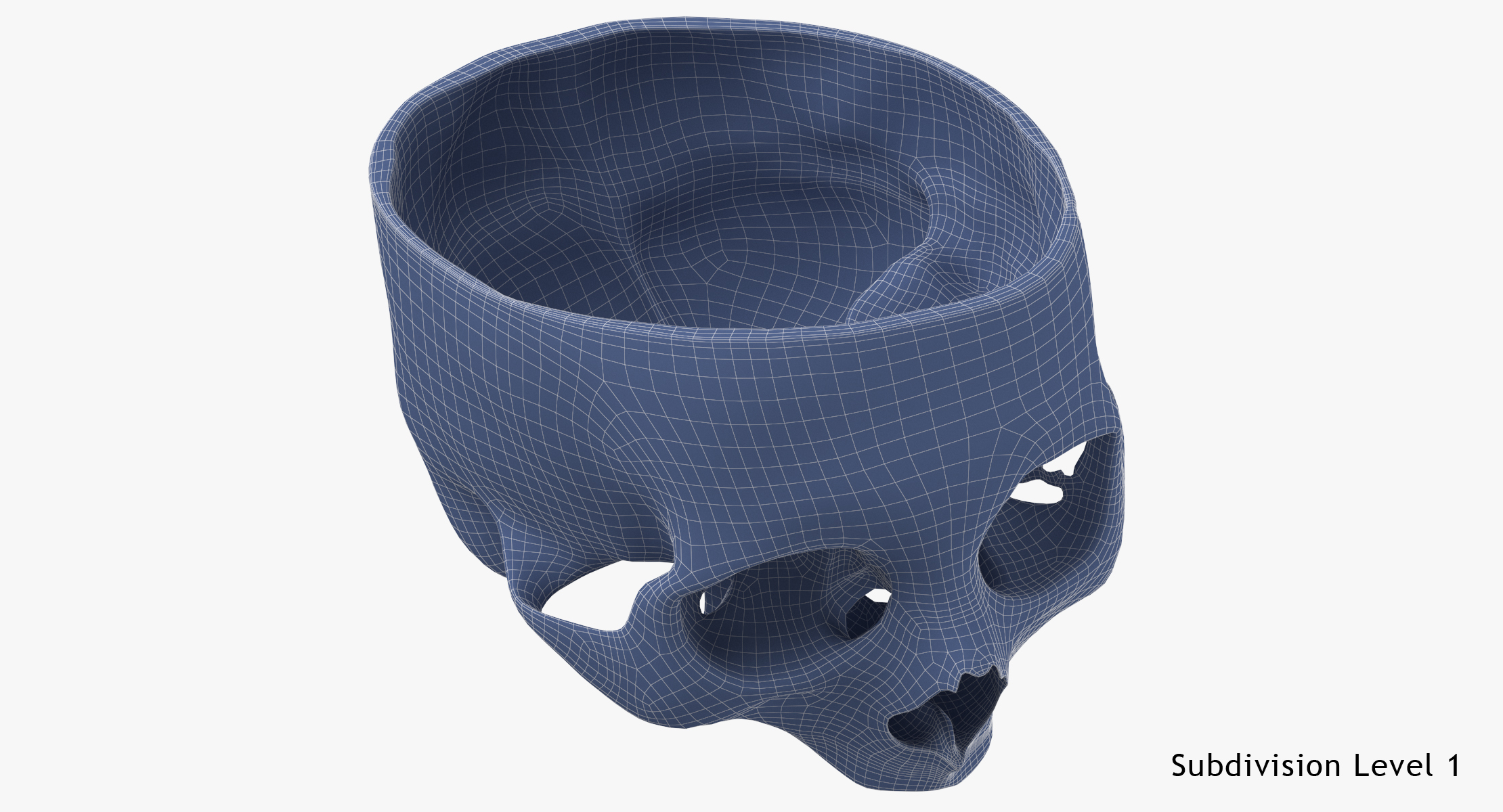 modelo 3d Cráneo humano real Cranial 02 Cut White - TurboSquid 1555192