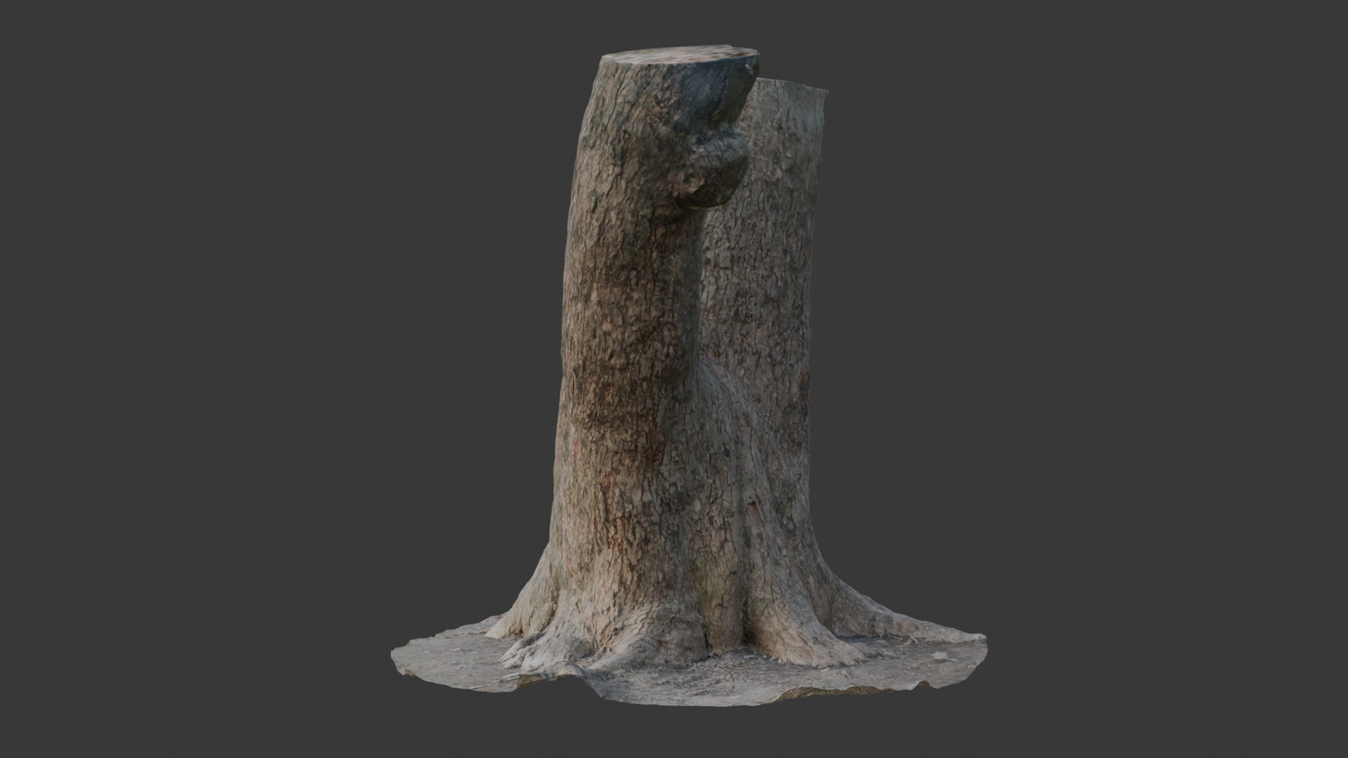 3D Model Realistic Forked Tree Trun Scan - TurboSquid 2395278