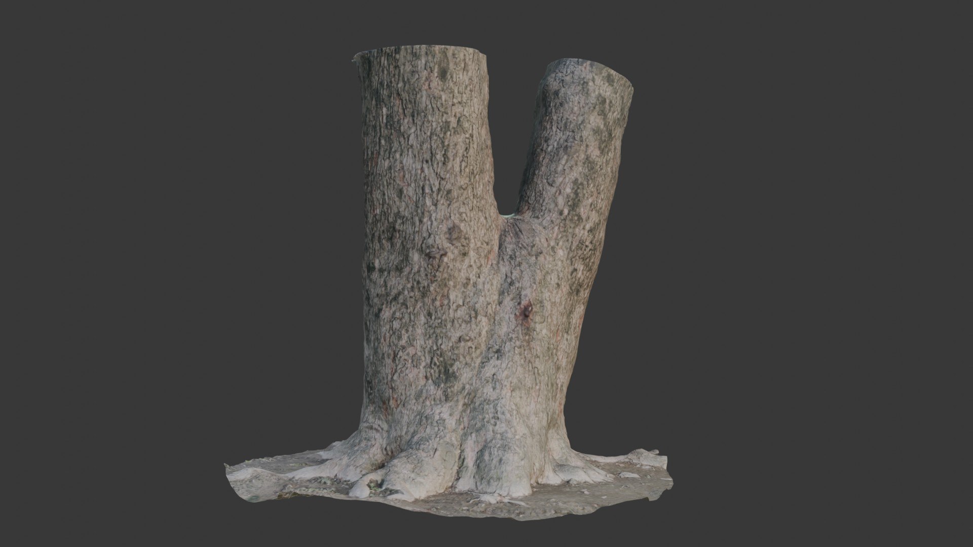3D Model Realistic Forked Tree Trun Scan - TurboSquid 2395278