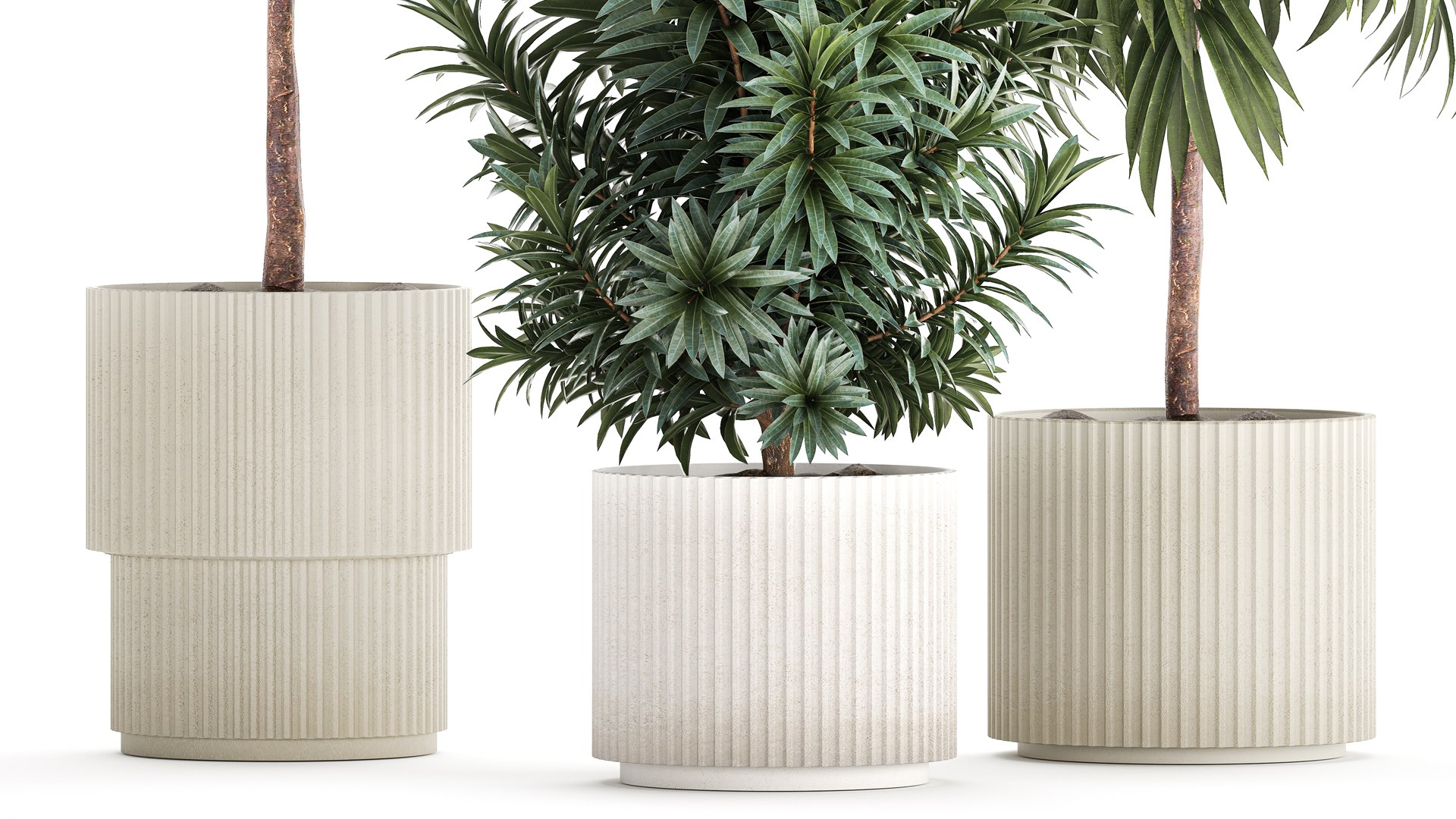 3D Beautiful Plants Ficus Alii Tree Oleander In Pots 1357 model ...