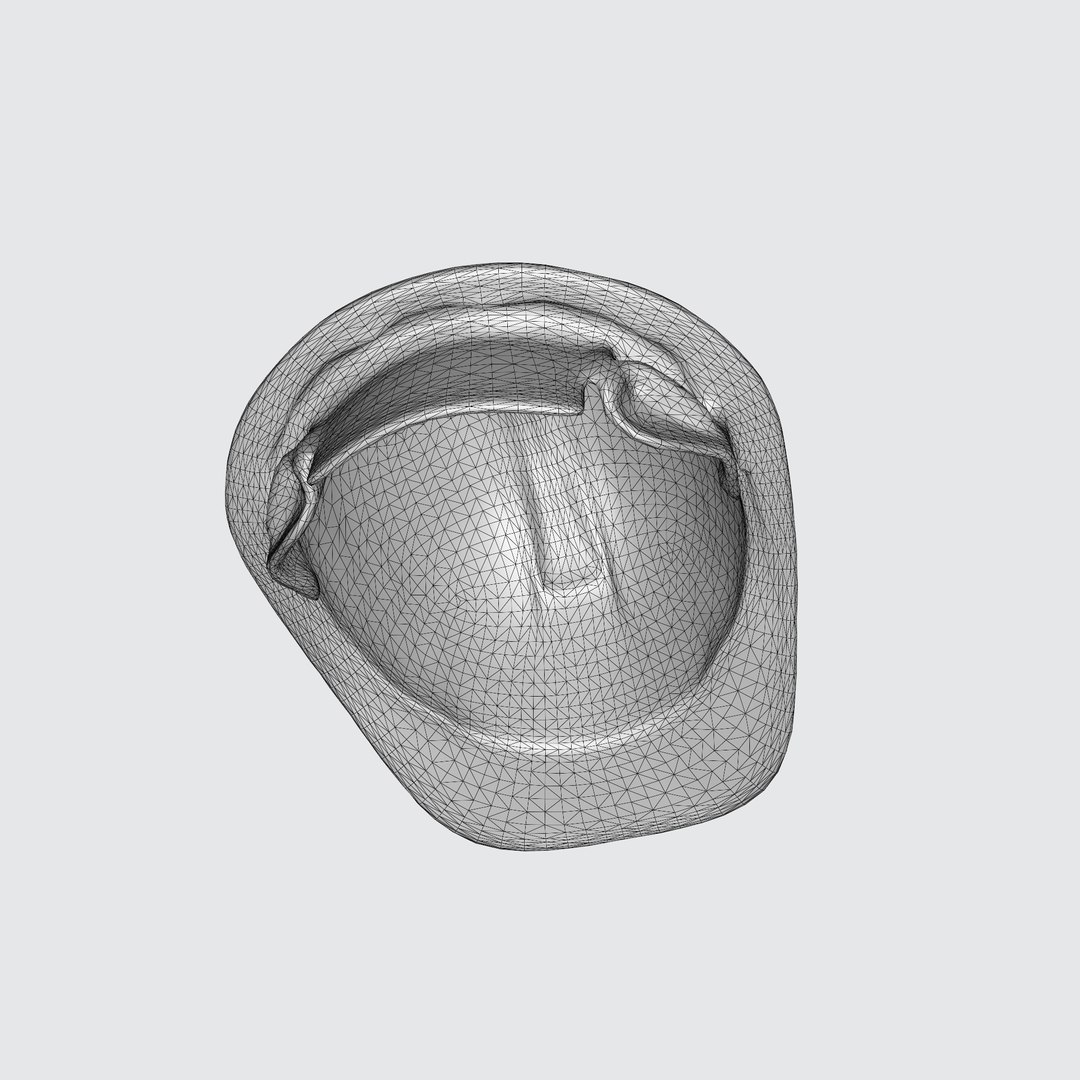 Hat For Safety And Construction 3D Model - TurboSquid 2275837