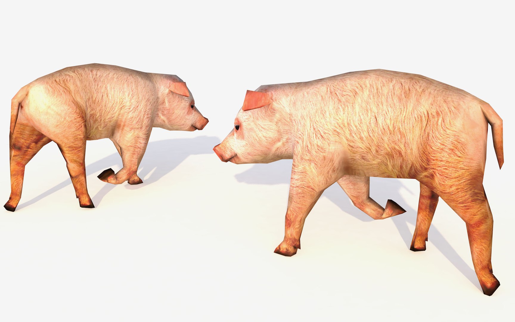 Pig Animations Natural 3D Model - TurboSquid 1650726