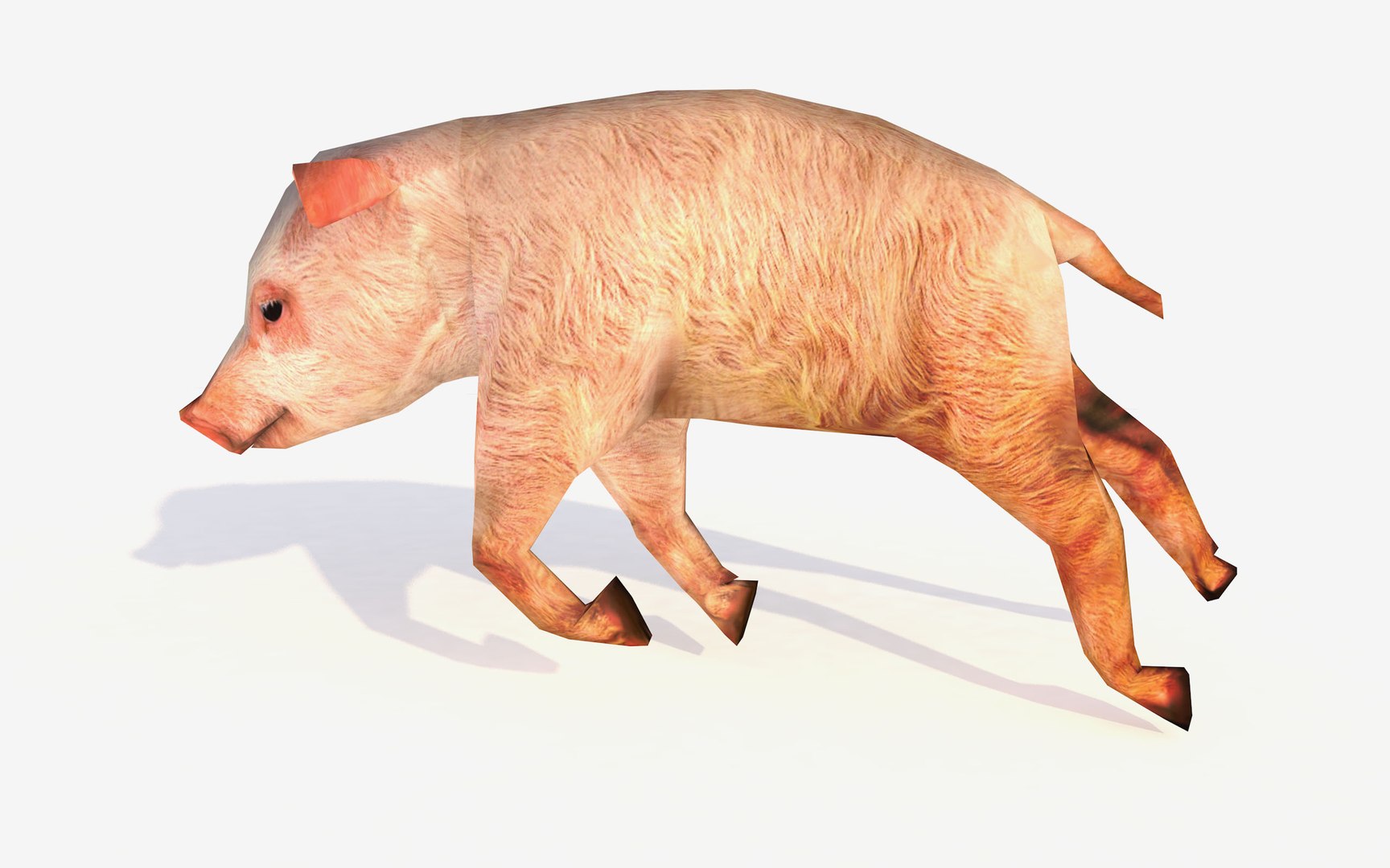 Pig Animations Natural 3D Model - TurboSquid 1650726