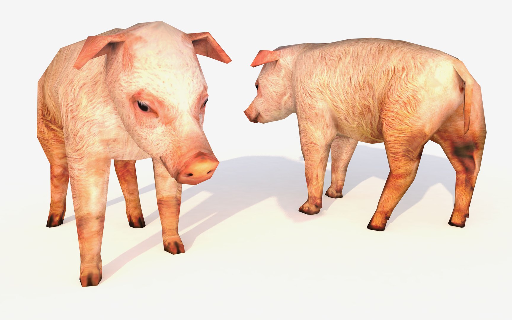Pig Animations Natural 3D Model - TurboSquid 1650726