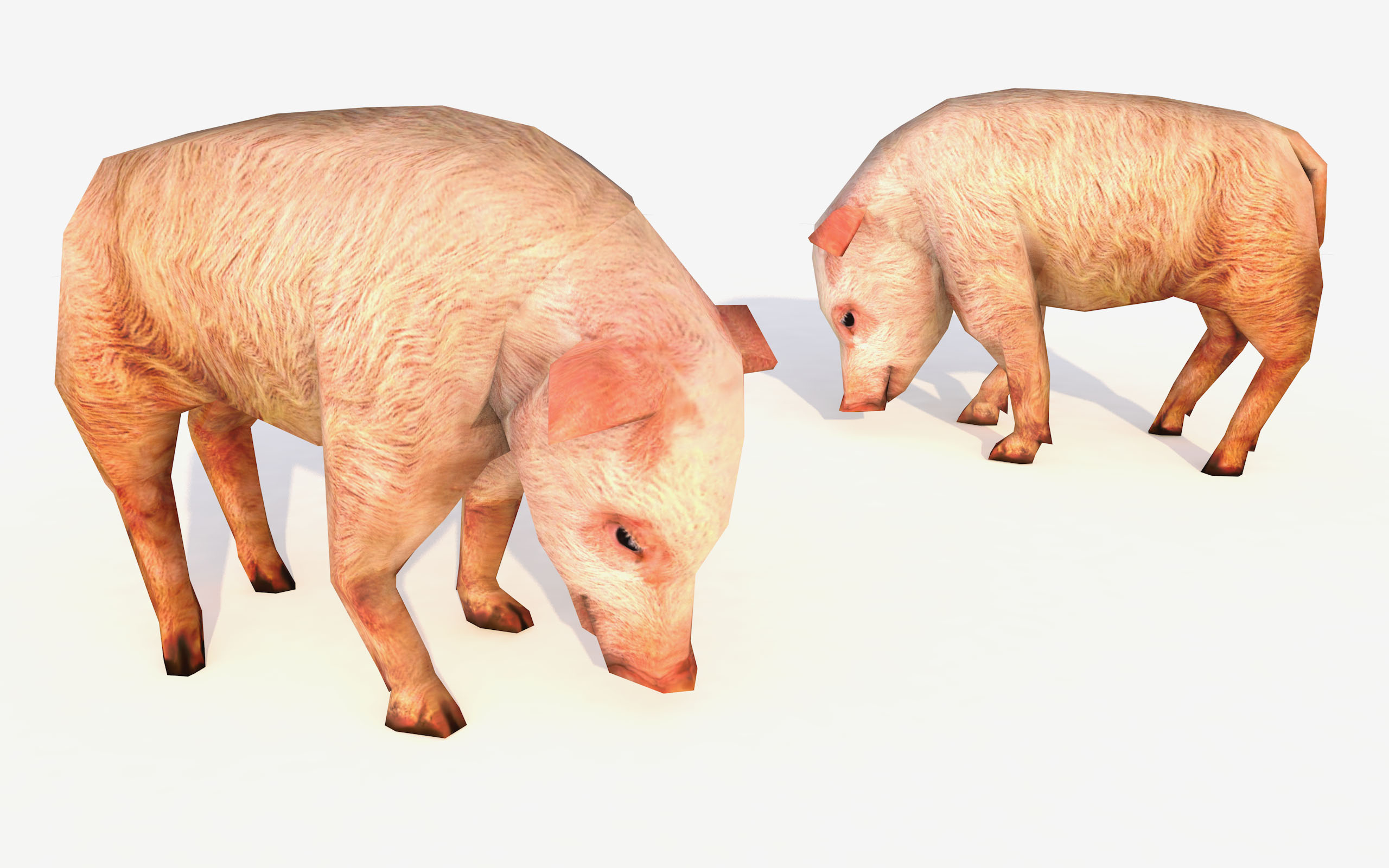 Pig animations natural 3D model - TurboSquid 1650726