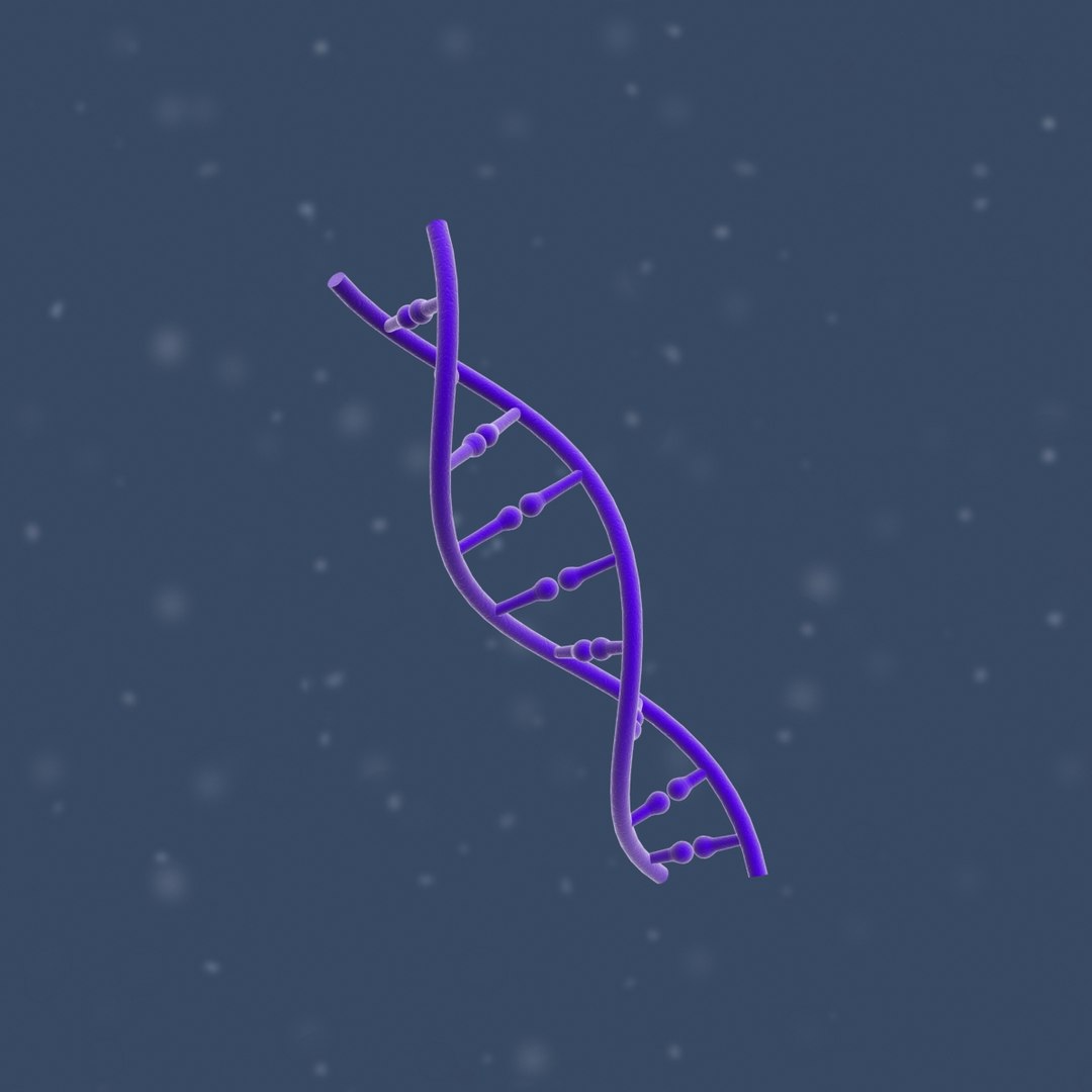 3d Model Human Dna