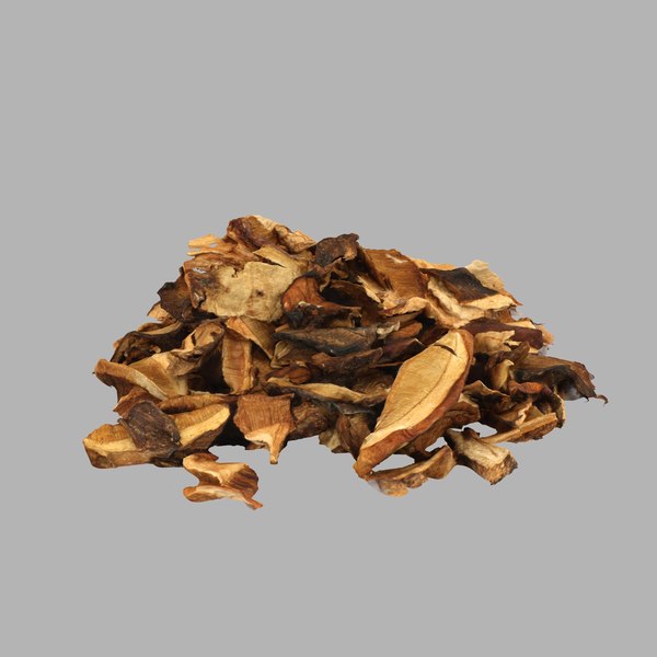 3D dried mushrooms mix - TurboSquid 1364358