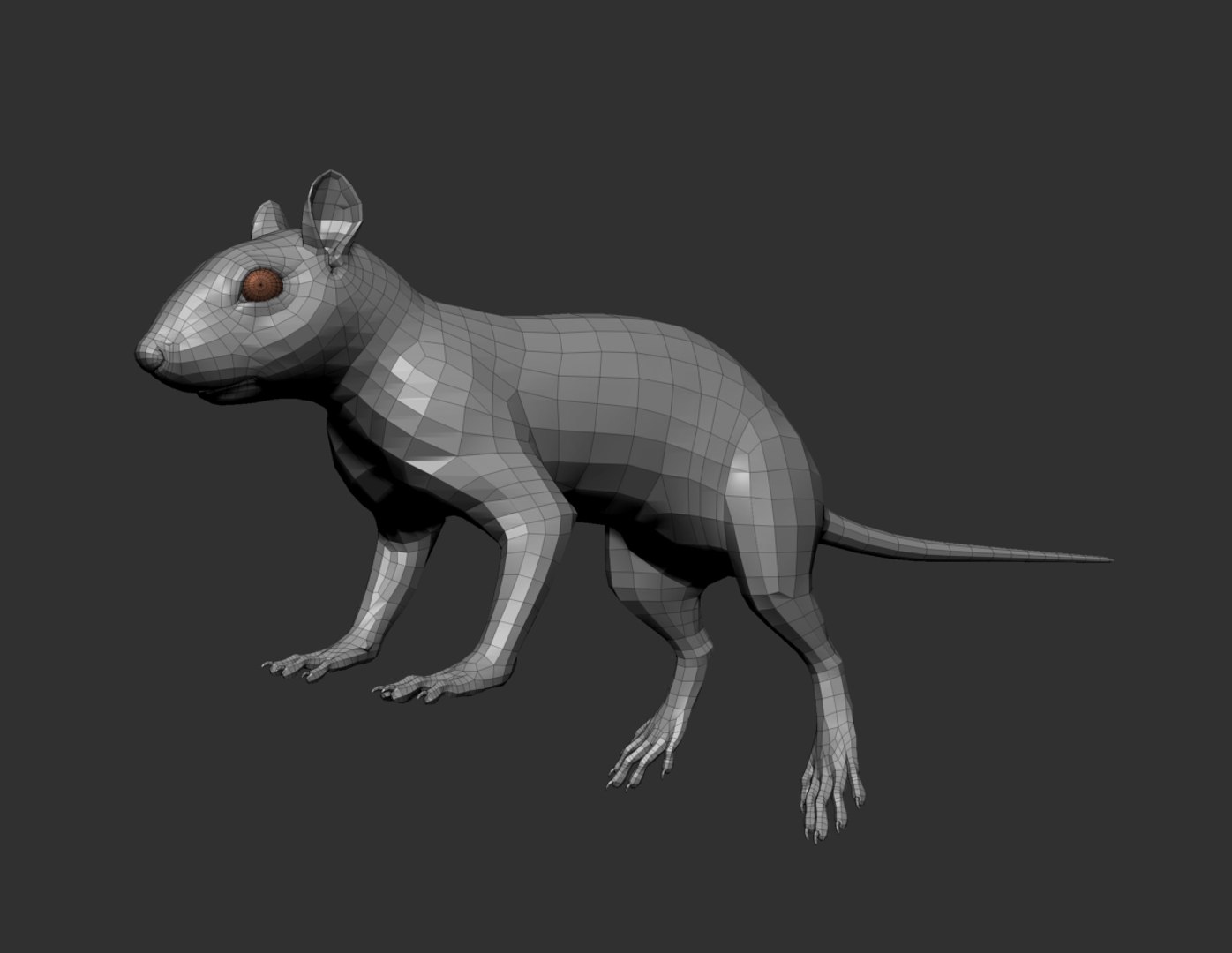 Animal Squirrel Mouse 3d Model