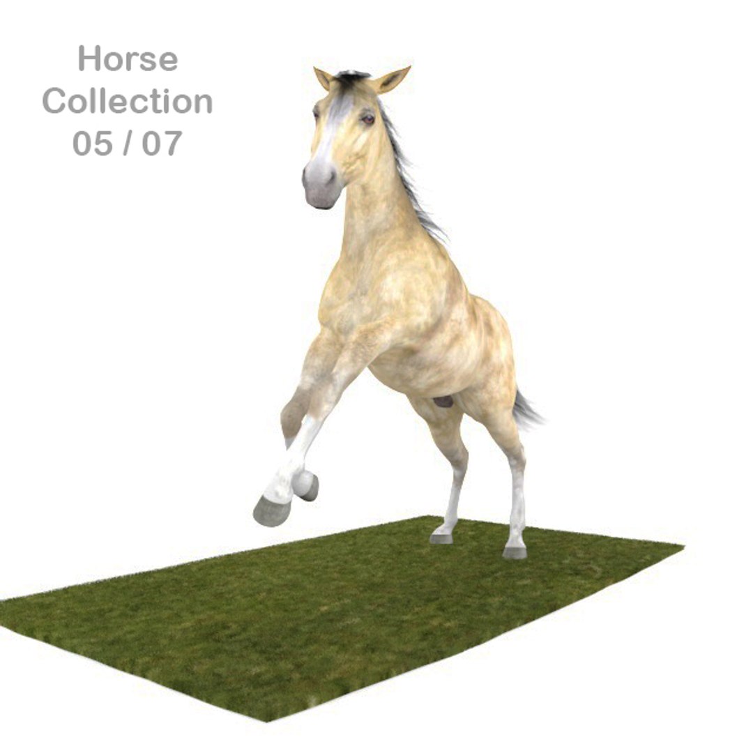 3d Model Realistic Horse 05