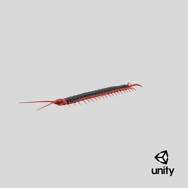 Scolopendra subspinipes mutilans model - TurboSquid 1546432