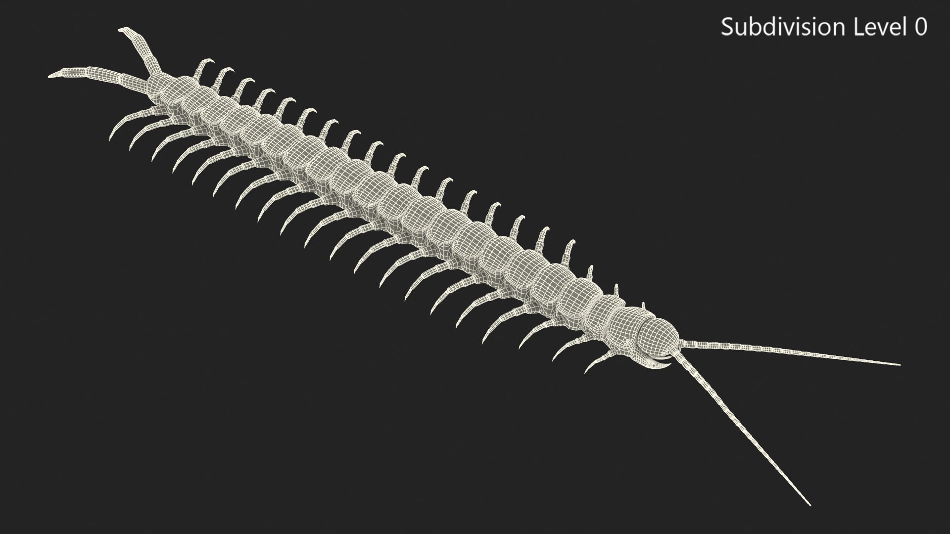 Scolopendra subspinipes mutilans model - TurboSquid 1546432
