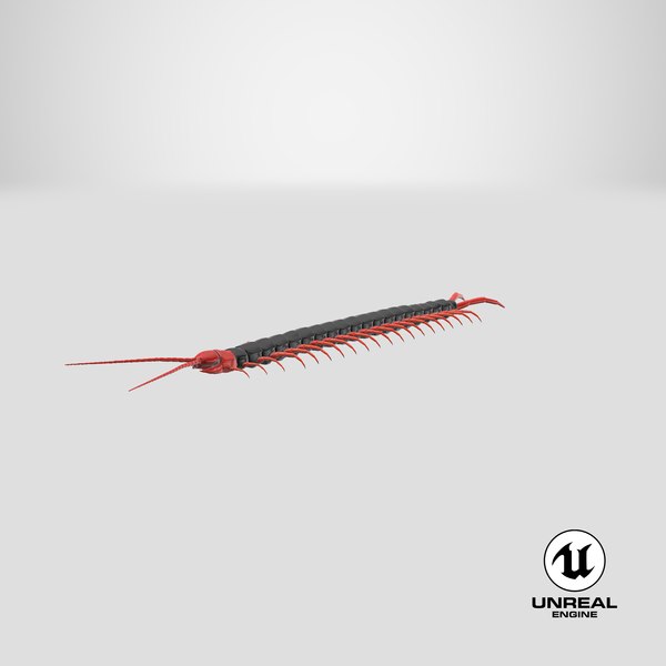 Scolopendra subspinipes mutilans model - TurboSquid 1546432