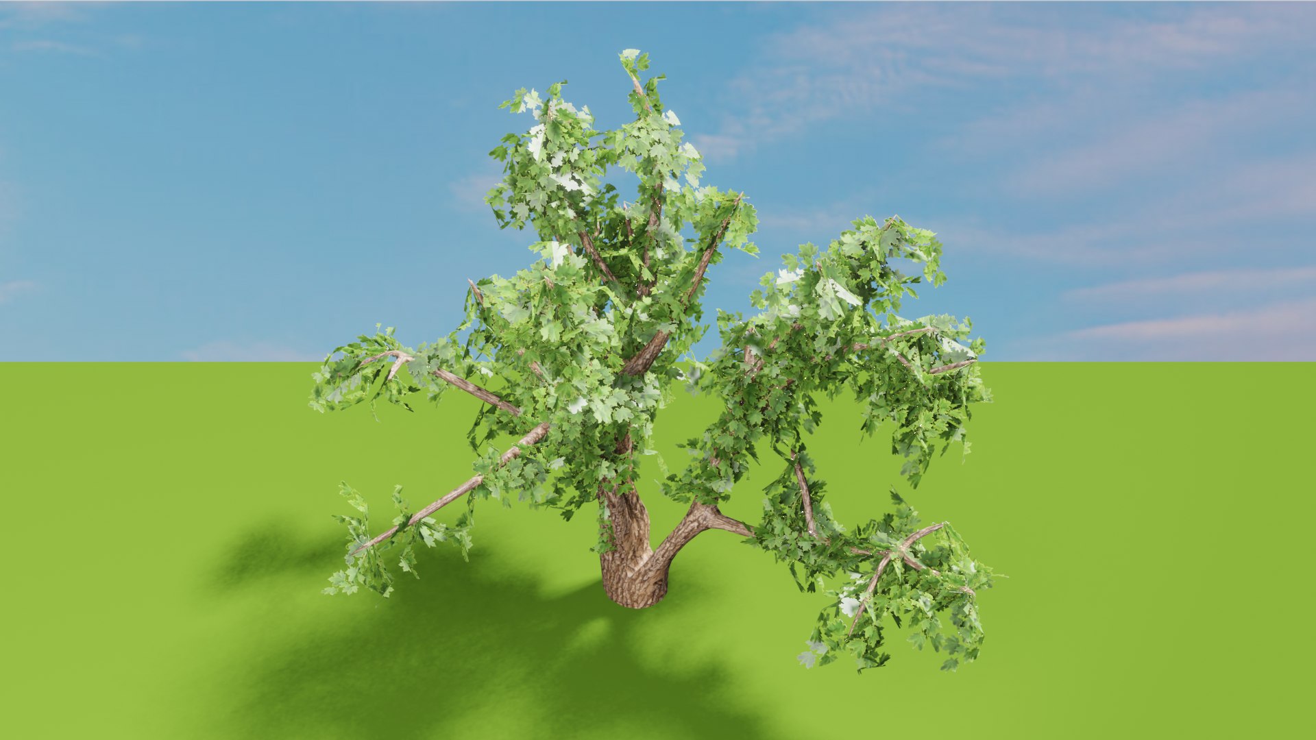 Free Simple Tree Model - TurboSquid 1877711