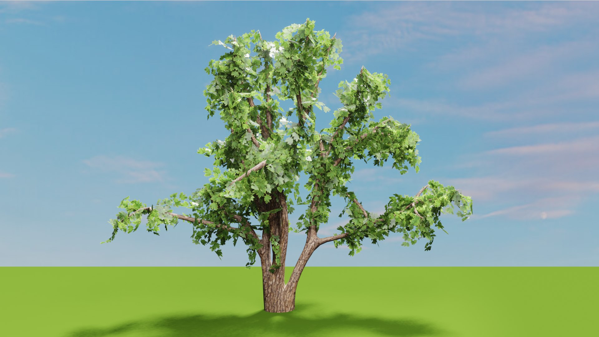 Free Simple Tree Model - TurboSquid 1877711