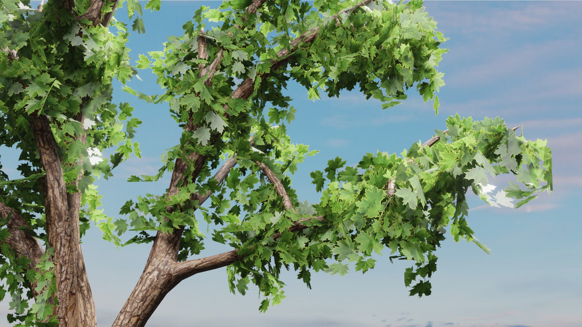 Free Simple Tree Model - TurboSquid 1877711