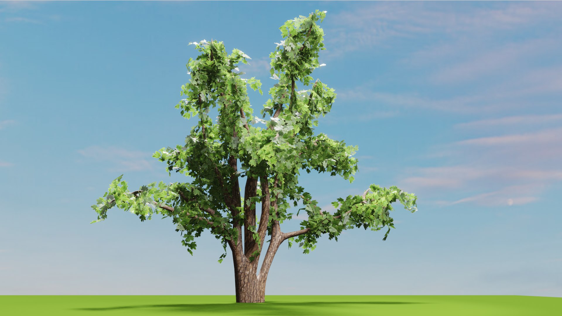 Free Simple Tree Model - TurboSquid 1877711