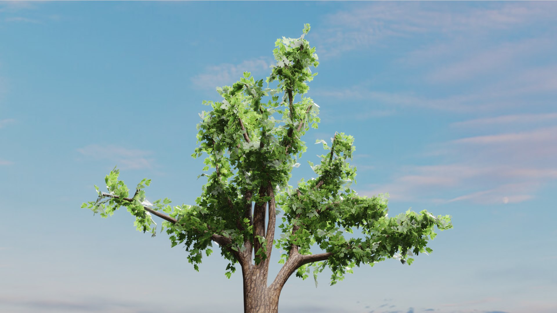 Free Simple Tree Model - TurboSquid 1877711