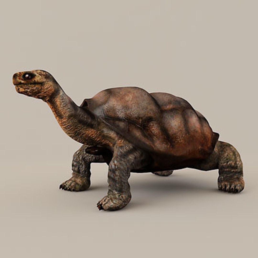 lonesome george tortoise 3d 3ds