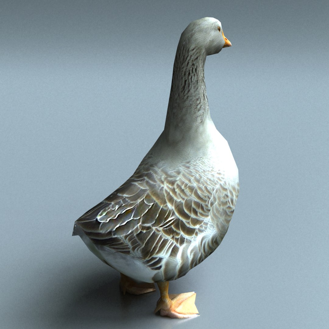 Goose 3d Model