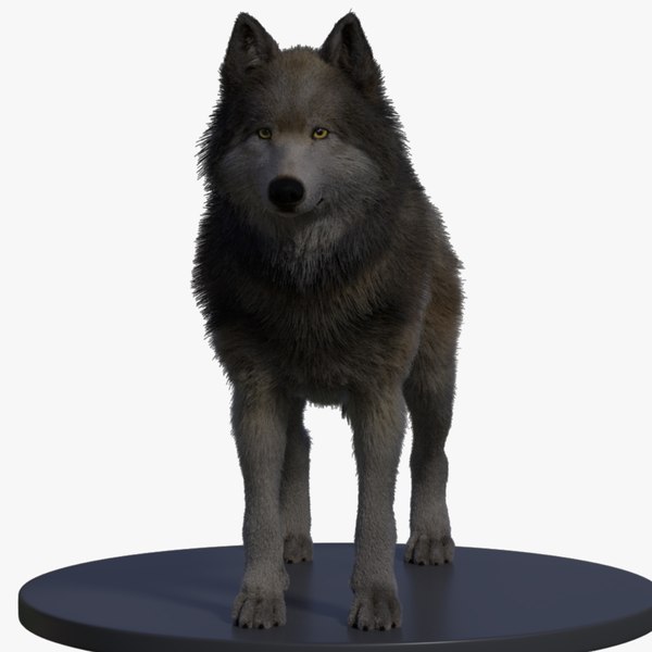 modelo 3d Lobo XGEN - TurboSquid 1786904