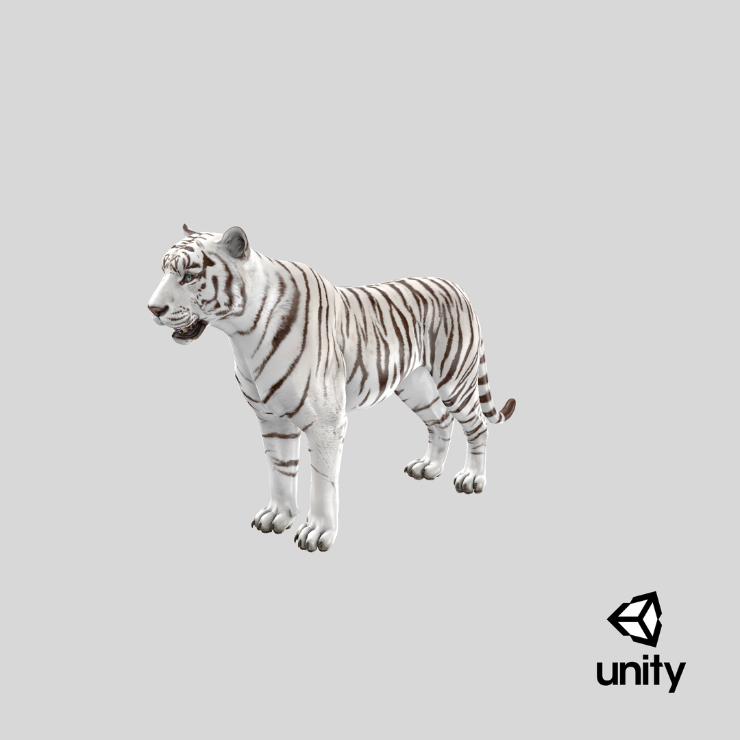 White tiger 3D model - TurboSquid 1271758