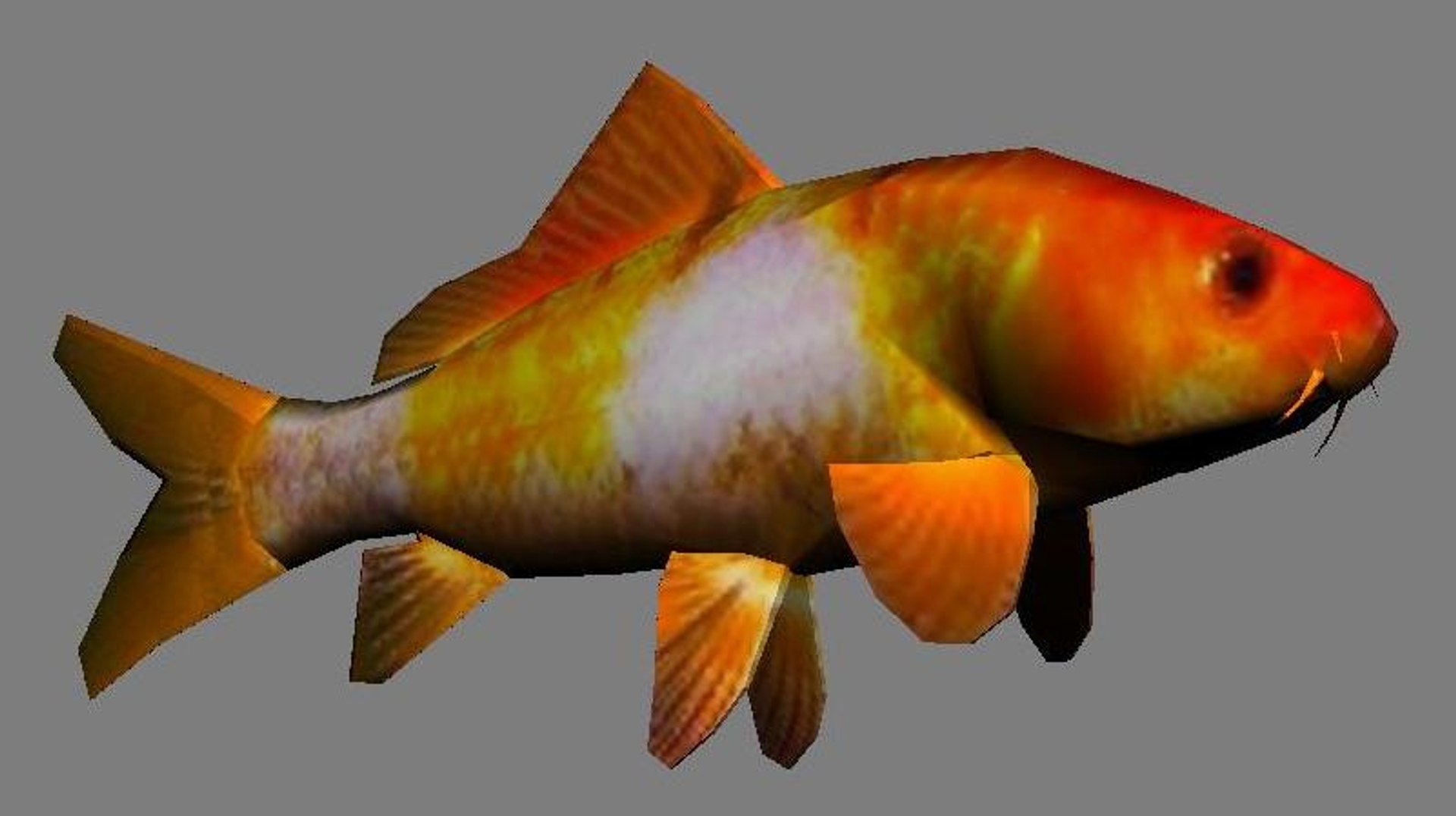 3d Model Koi