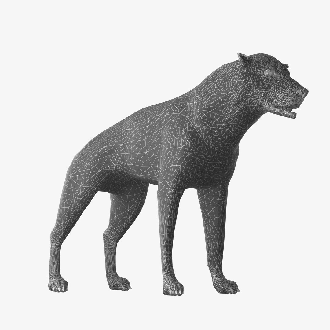 Realistic Rottweiler Rigged 3d Model