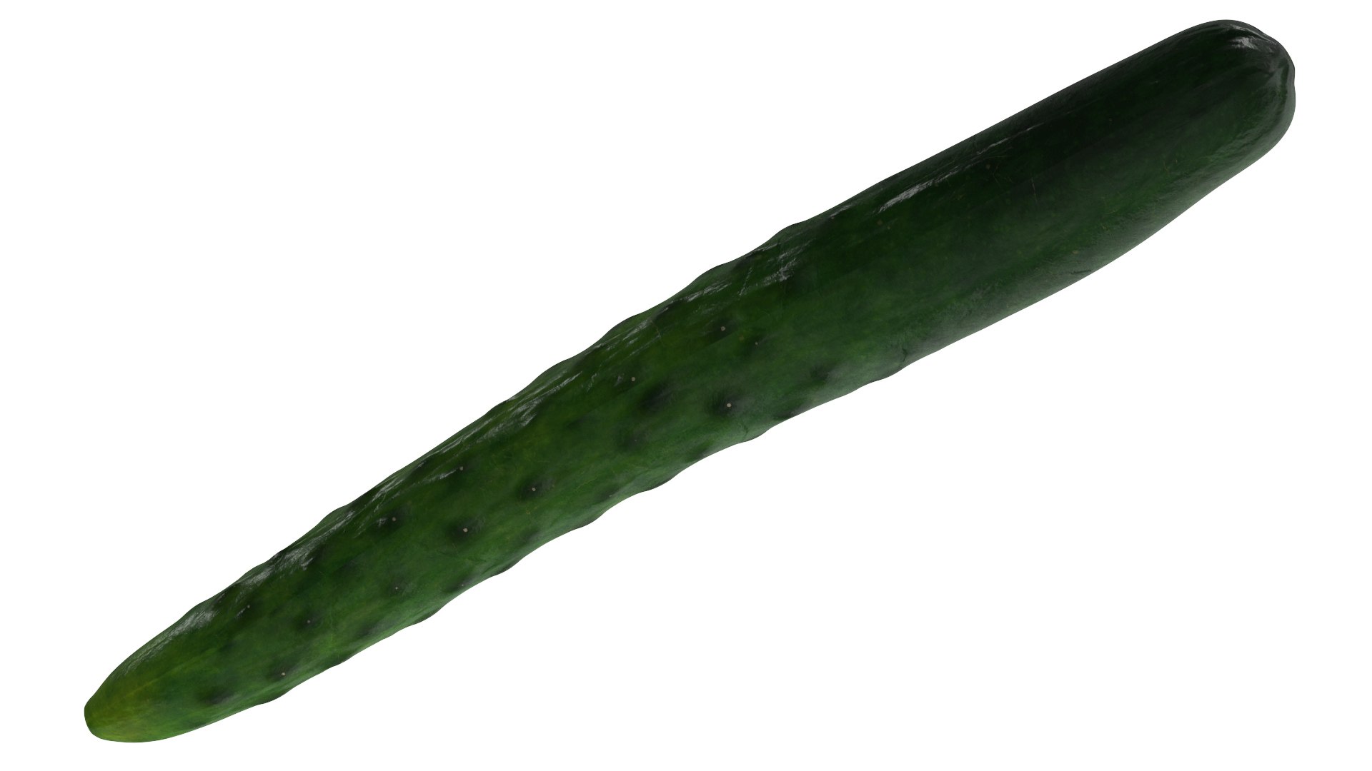 3D Long Cucumber Model - TurboSquid 1982308