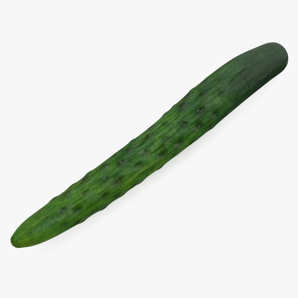 3D Long Cucumber model - TurboSquid 1982308