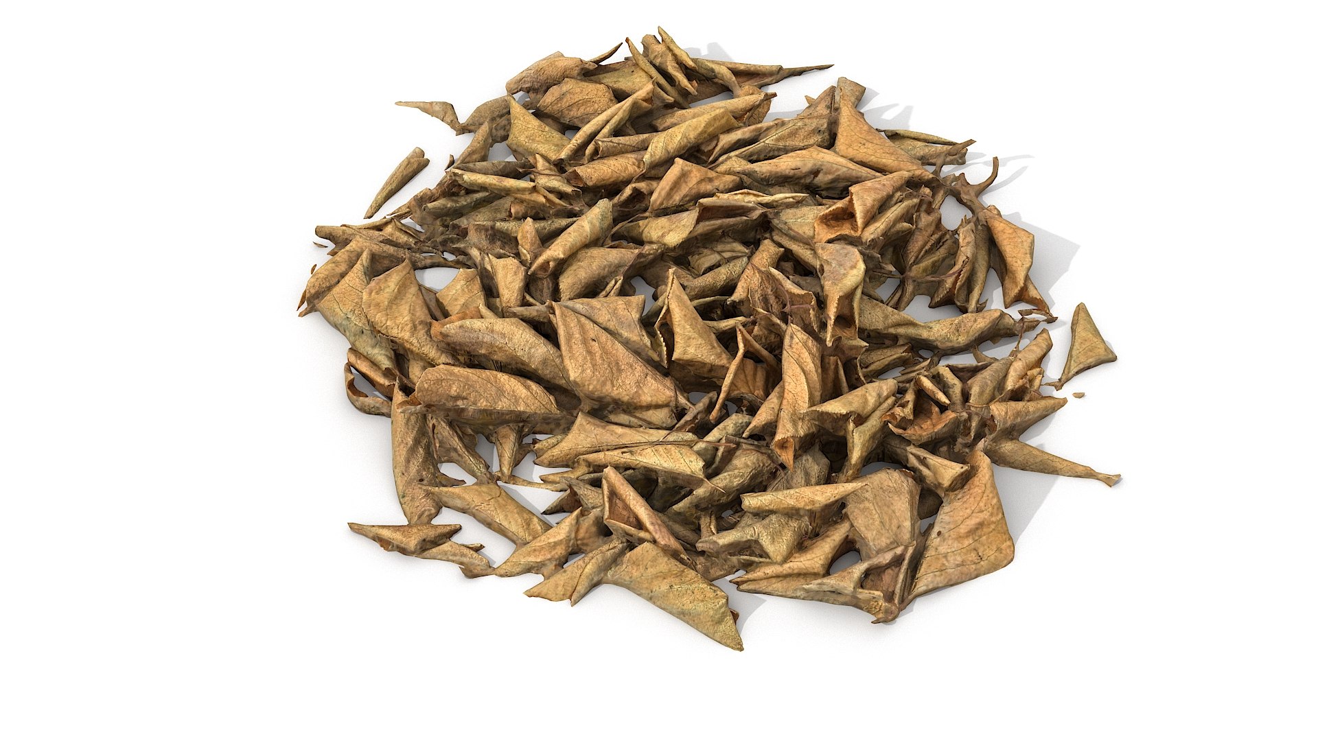 Dry Leaves Low Pile Scan 3D - TurboSquid 1807443