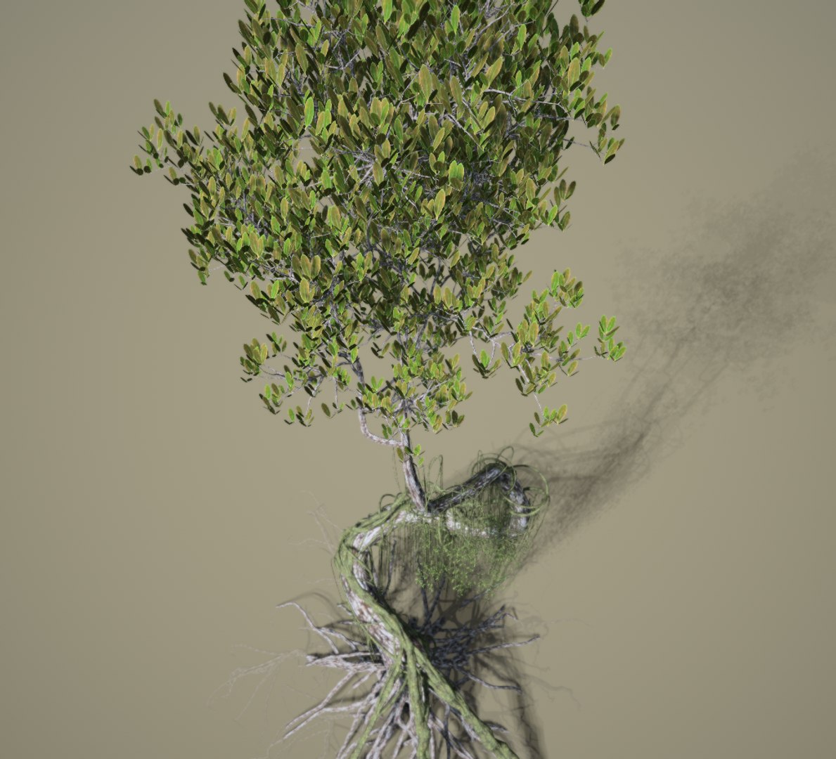 Tree 3D model - TurboSquid 1535296