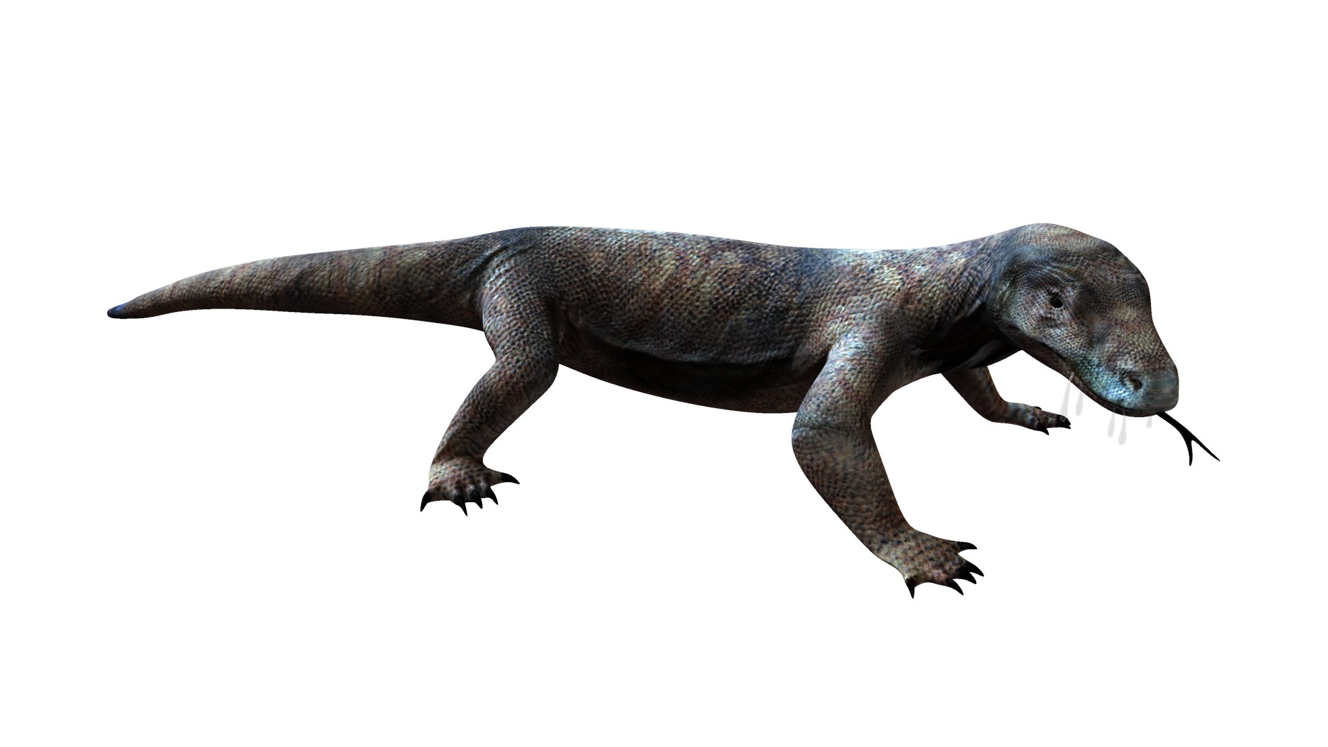 Komodo Dragon Varanus Australia Animal Model - TurboSquid 2159984