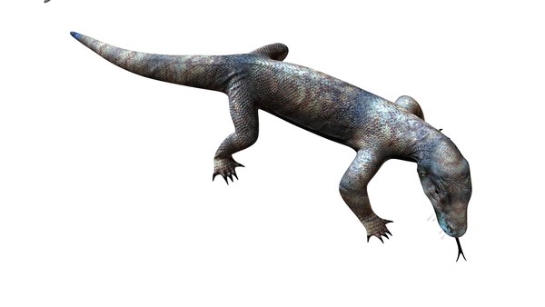 modelo 3d dragón de komodo varano australia animal - TurboSquid 2159984