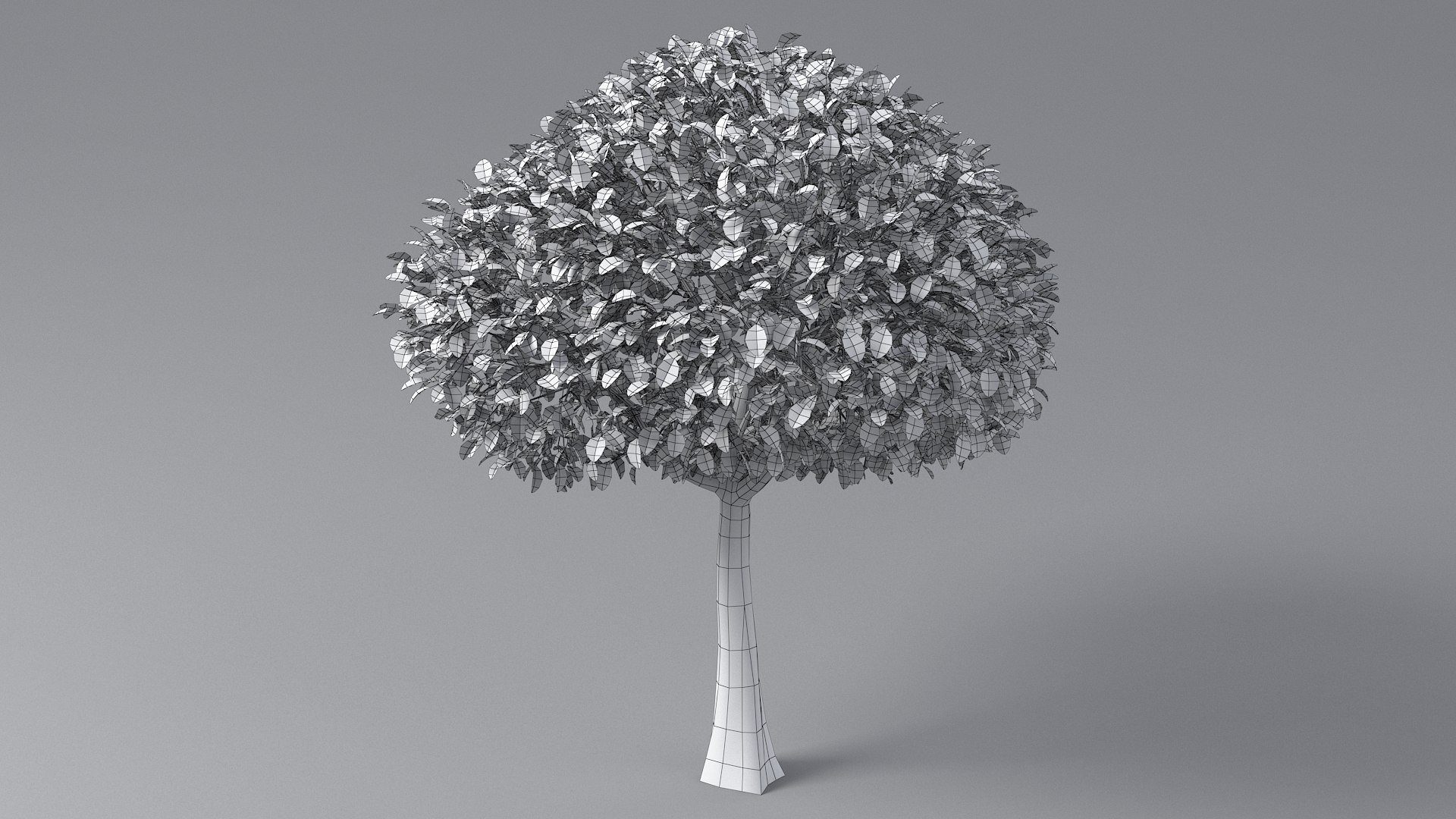 Cartoon Tree Small 09 Model - TurboSquid 1936846