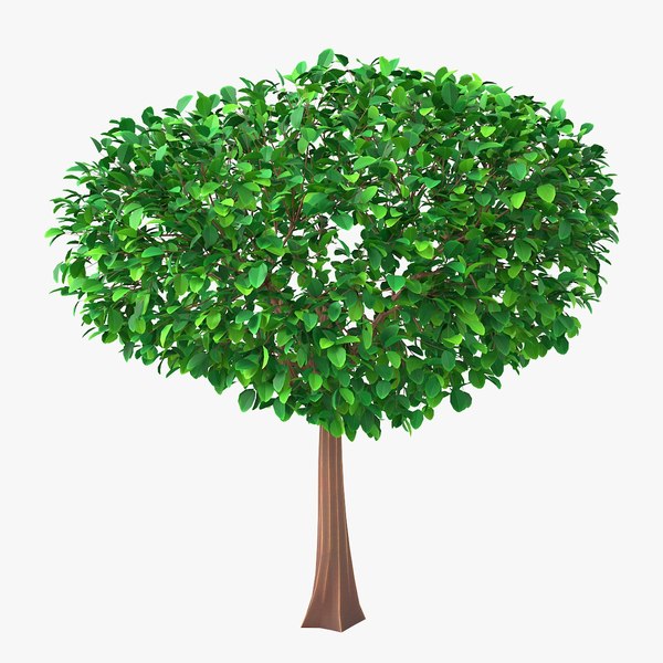 Cartoon Tree Small 09 model - TurboSquid 1936846