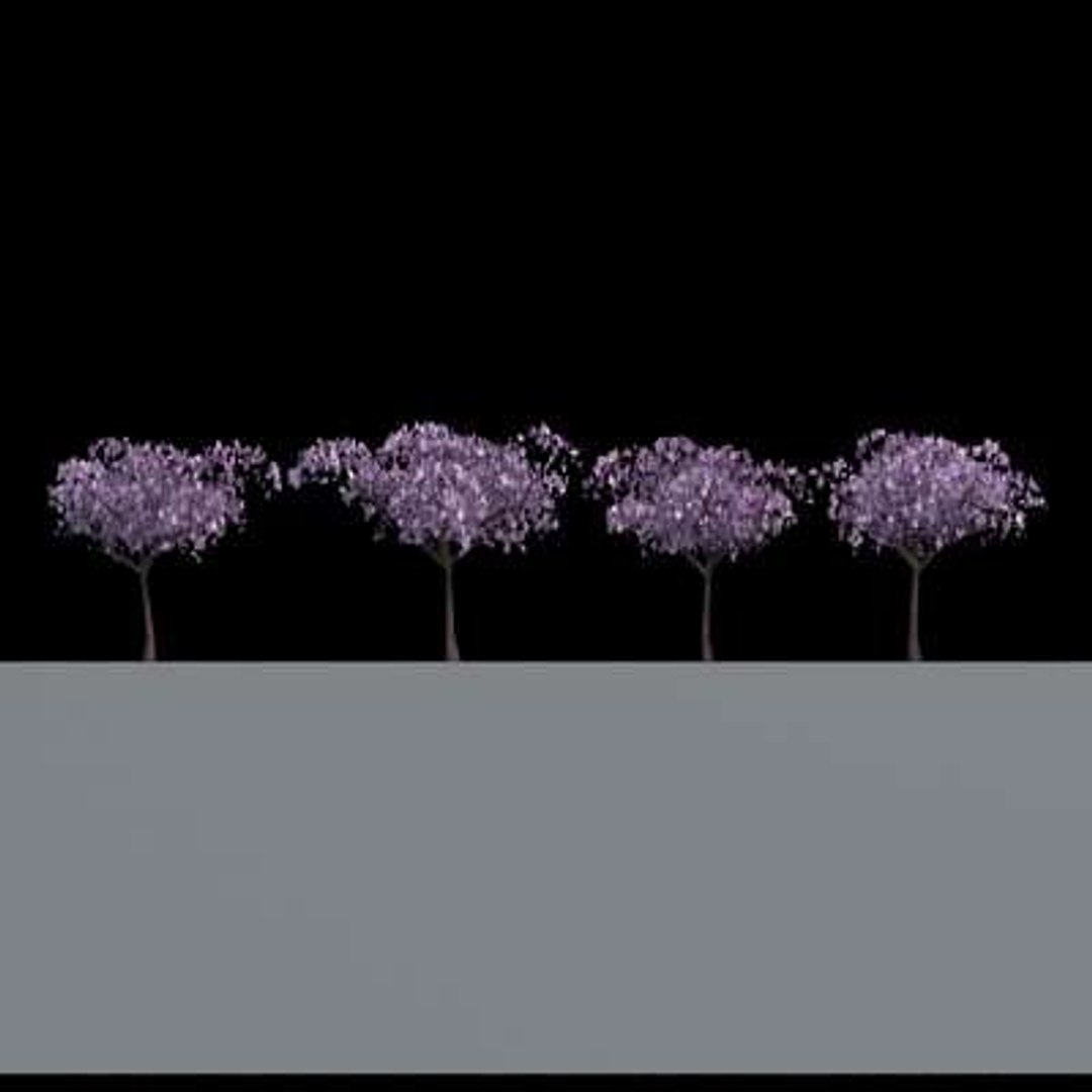 Max Tree Architectural