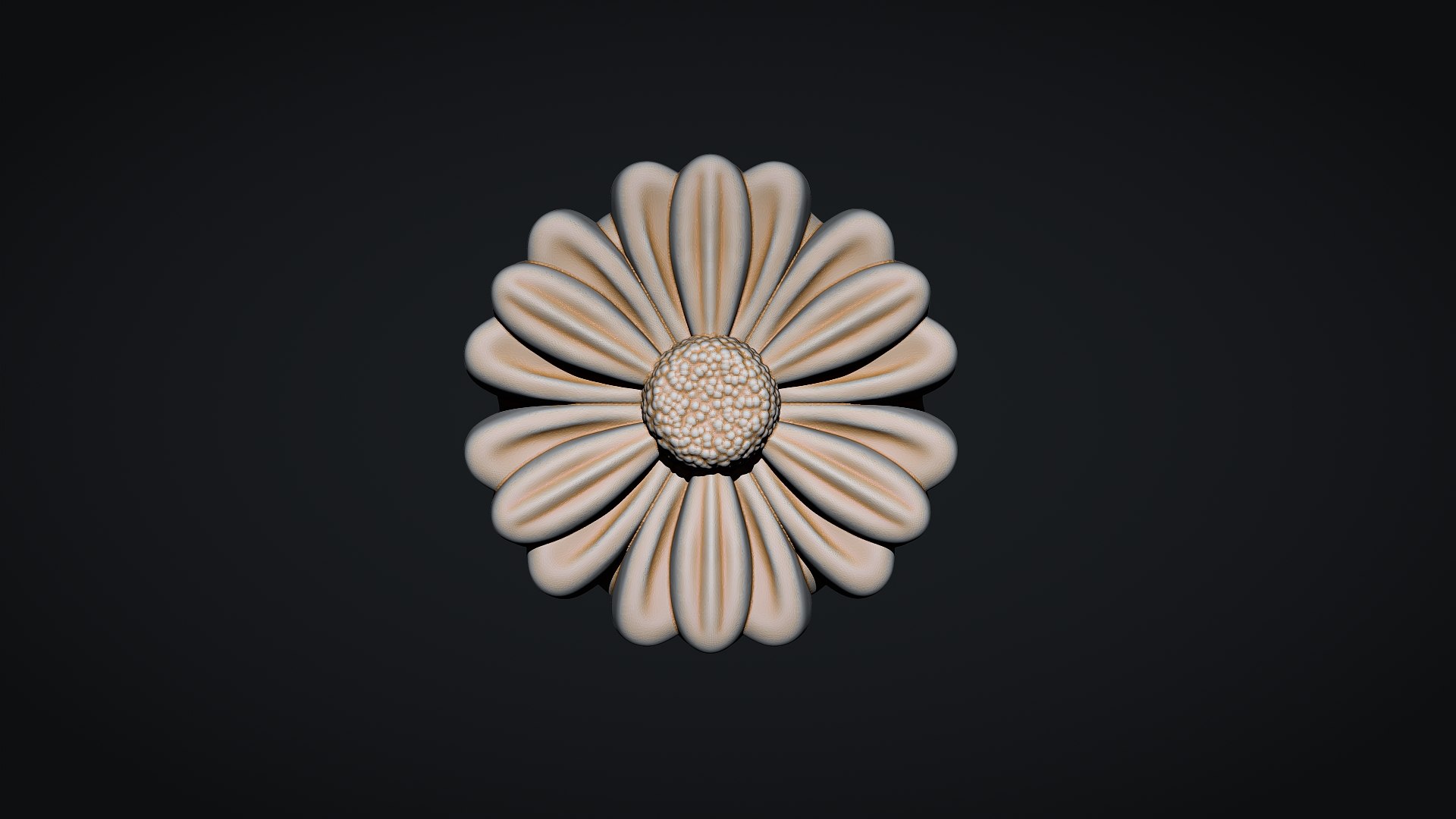 Feverfew Flower Bas Relief Model - TurboSquid 2367247