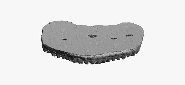 Biscuit chocolate scan 3D model - TurboSquid 1683154