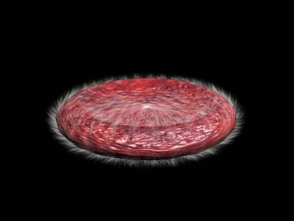 Free 3D Blood Models | TurboSquid